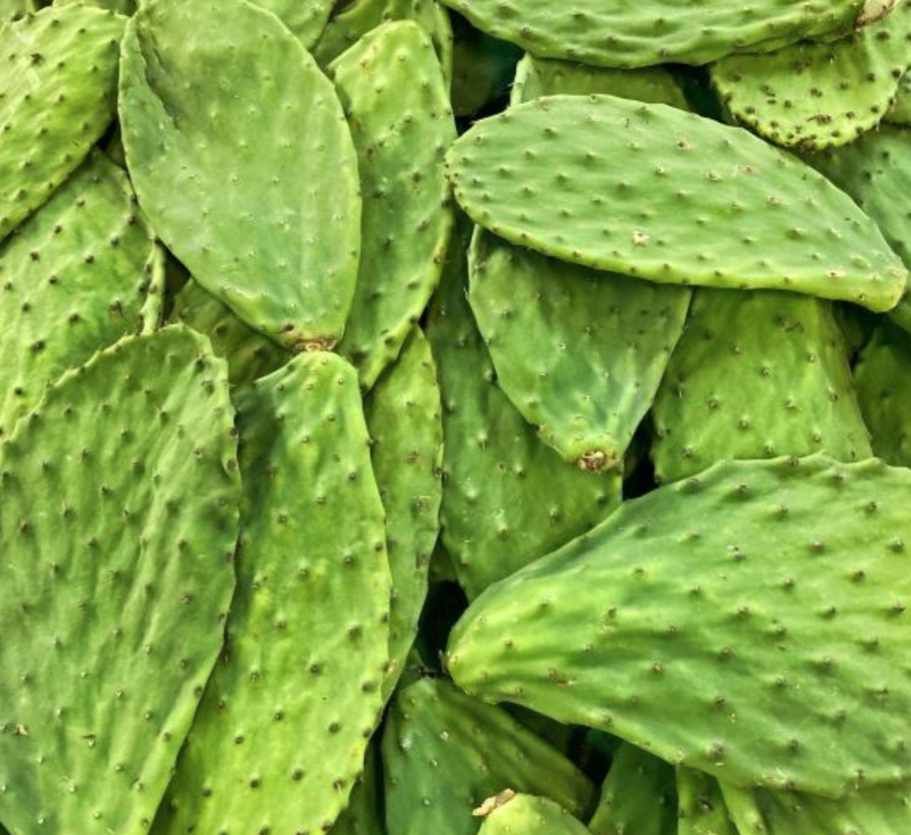 Add NOPAL® ... make it healthier - Nopal®